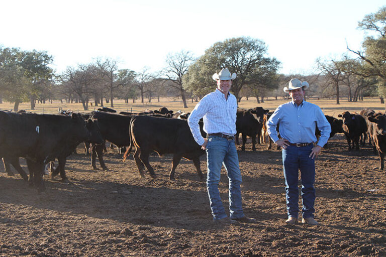 Home - Dean & Peeler Premium Angus Beef